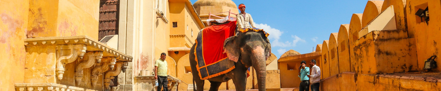 How To Reach Gir National Park, Way Of Gir National Park